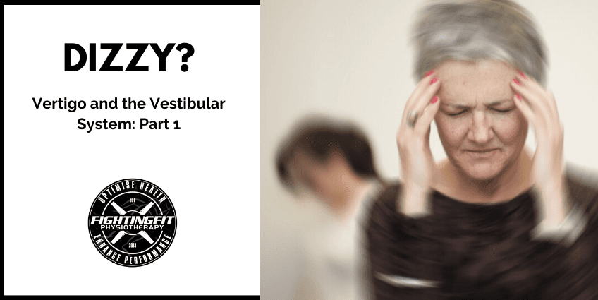 Part 1: Dizziness, Vertigo and the Vestibular System | Blog