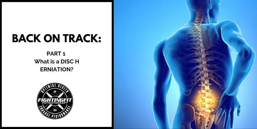 Back on Track: Part 1 What is a Disc Herniation? - Fighting Fit ...